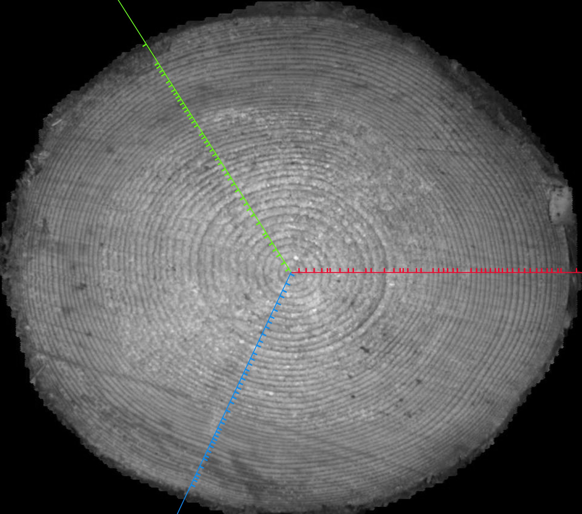 Automating wood quality assessment - Modulai